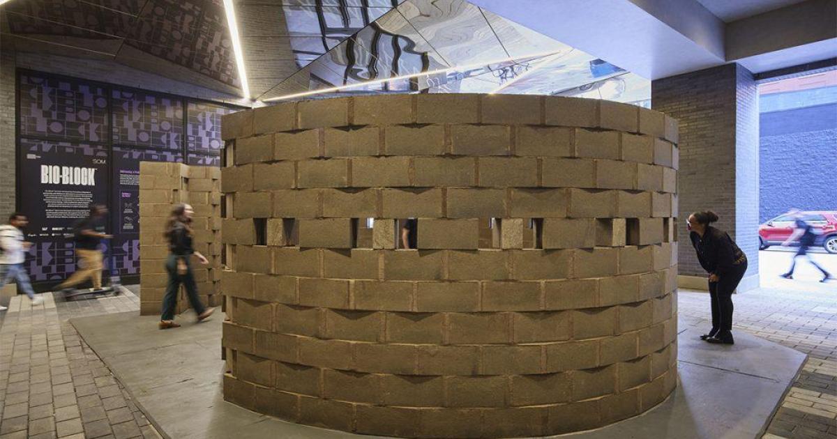 Beton-Alternative „Bio-Block“ | Kurier