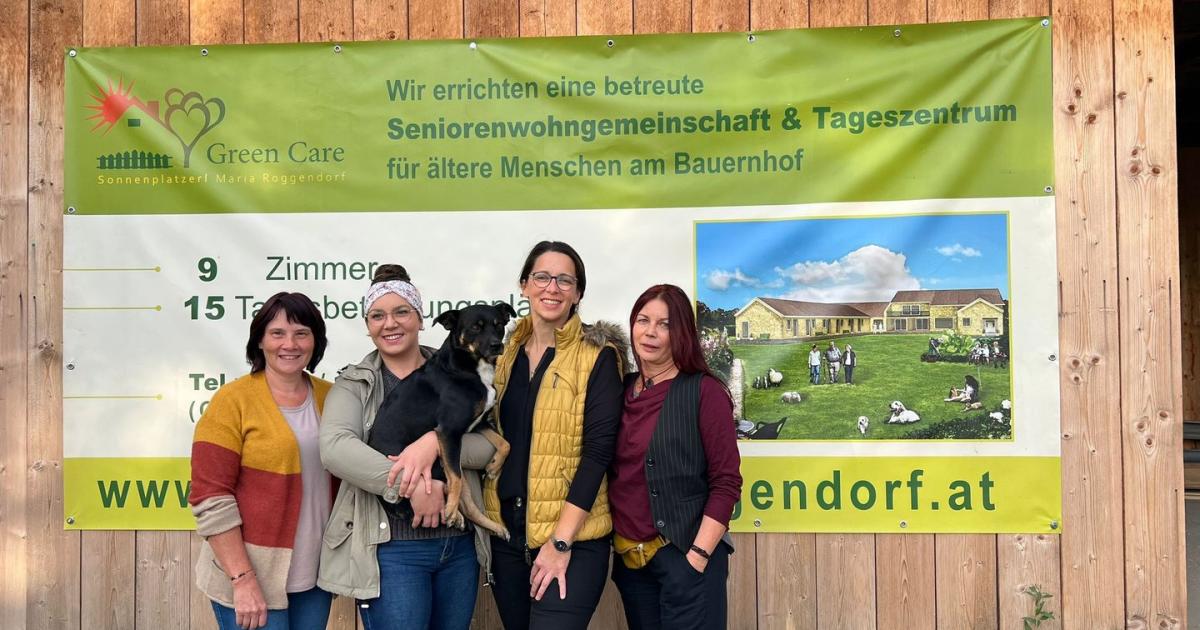 Neues Leben im „Sonnenplatzerl“ in Mario Roggendorf | Kurier