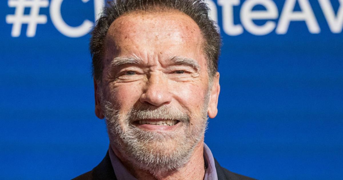 Arnold Schwarzenegger startet Online-Klima-Workout | Kurier