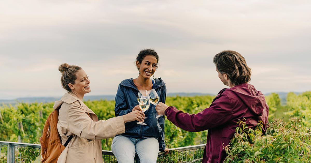 Der Appetit als Kompass: Niederösterreichs Kulinarik entdecken | Kurier