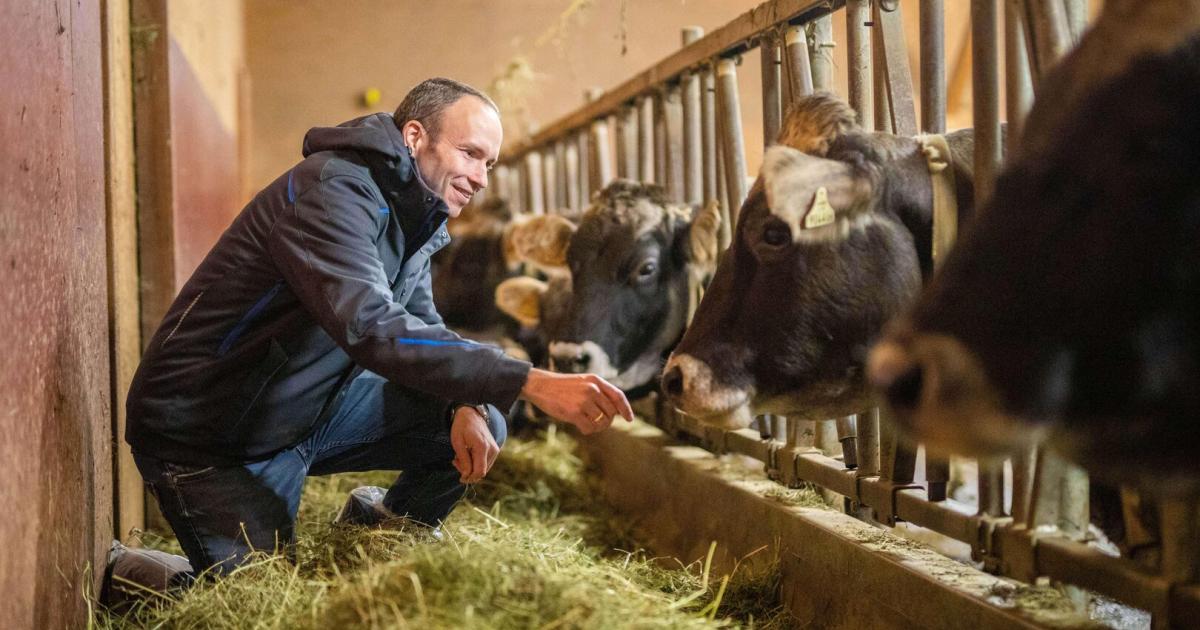 Ganz nah dran an der Realität | Kurier