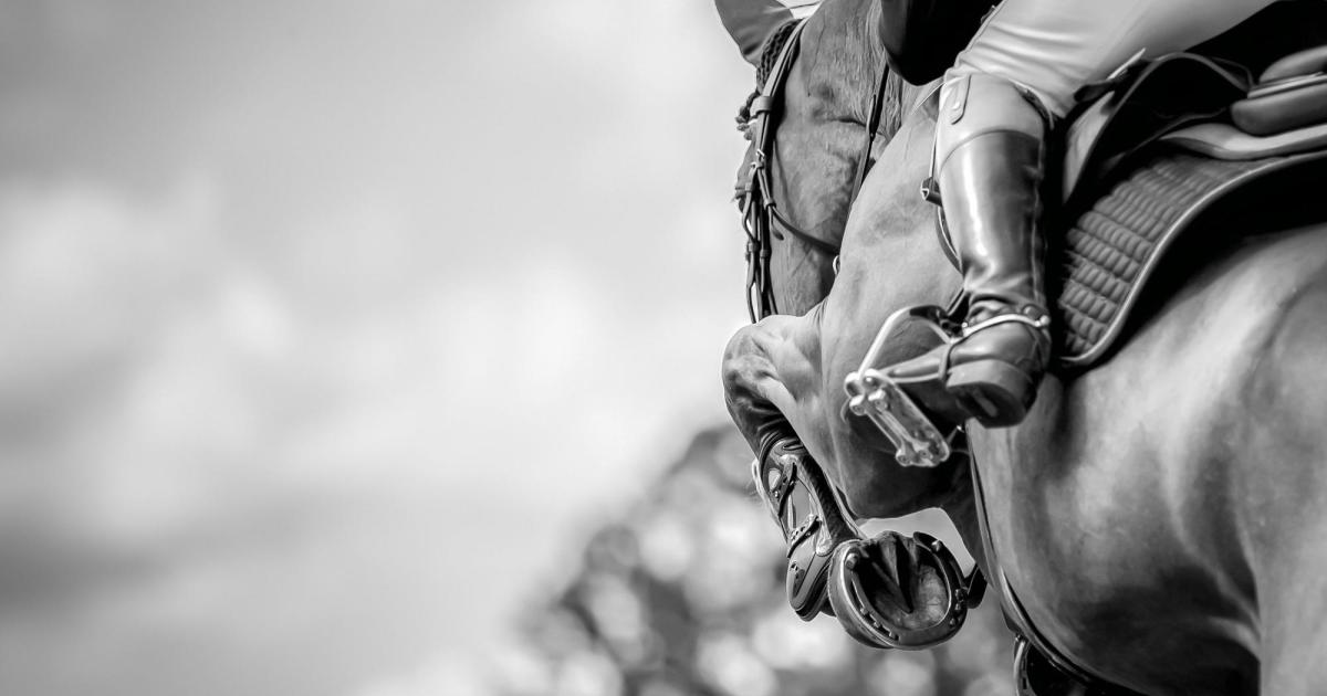 Britische Profi-Reiterin stirbt nach Sturz bei Turnier | Kurier