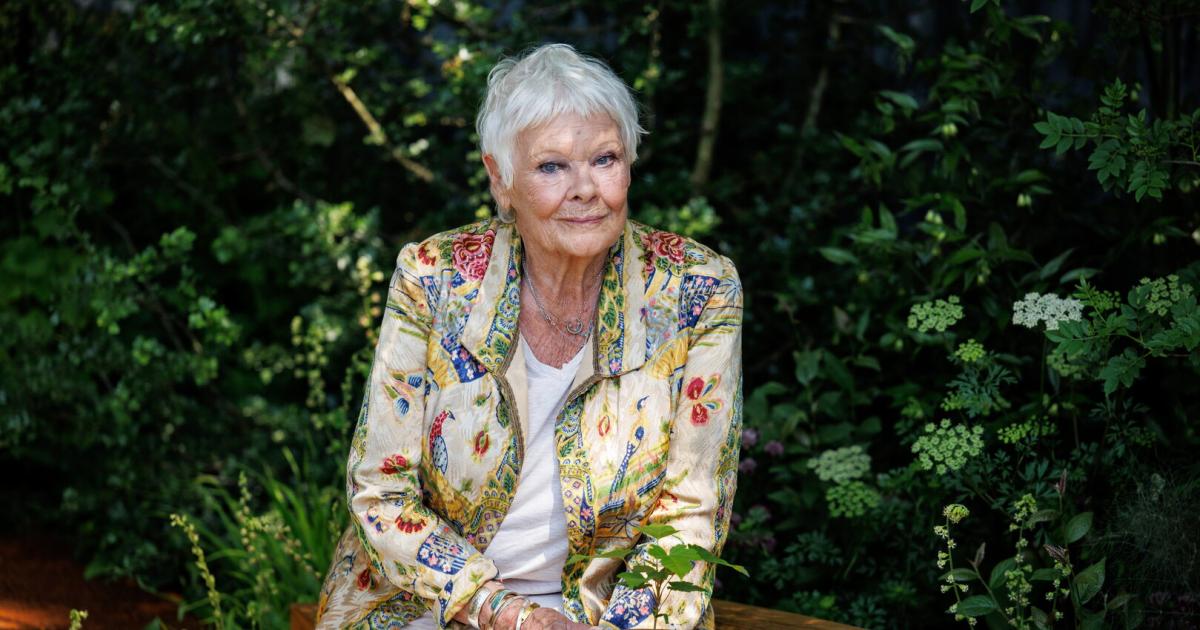 "Ich sehe nichts mehr": Judi Dench wird keine Filme mehr drehen | Kurier