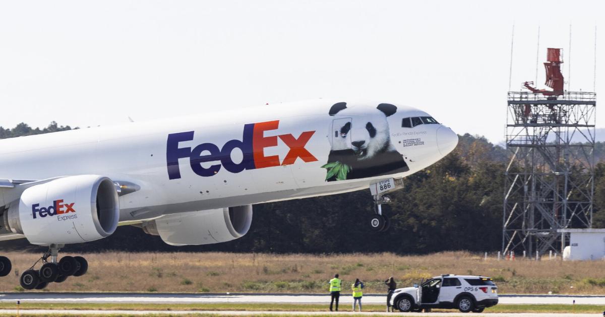 Panda-Comeback: Zoo von Washington bekommt neue Bären aus China | Kurier