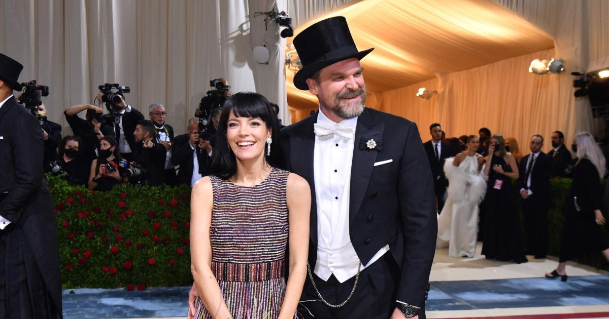 Lily Allen gab Hund wieder im Tierheim ab, weil er Pässe der Familie ...