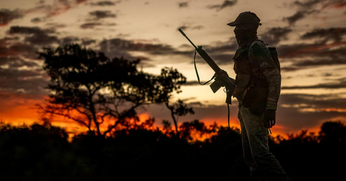 Security-Chef in Südafrika: "Die Wilderer sind wie Helden" | Kurier