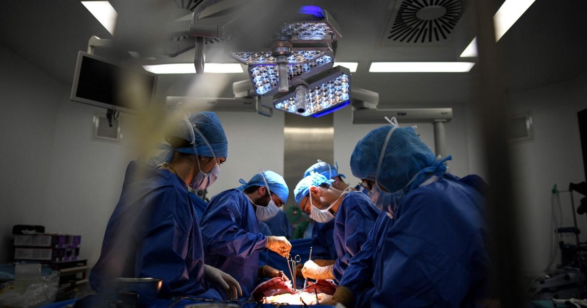 Organtransplantation: Warum ist Spanien der Spitzenreiter? | Kurier