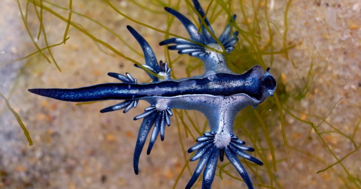 Clap clap clap clap xxl ms sethi initially we did cbj and