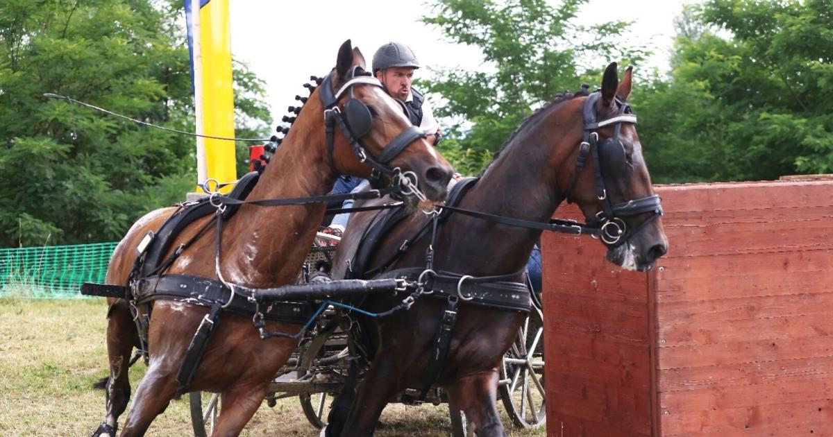 Beeindruckende Burgenländer: Dominanz am Boden, Erfolg in der Luft | Kurier