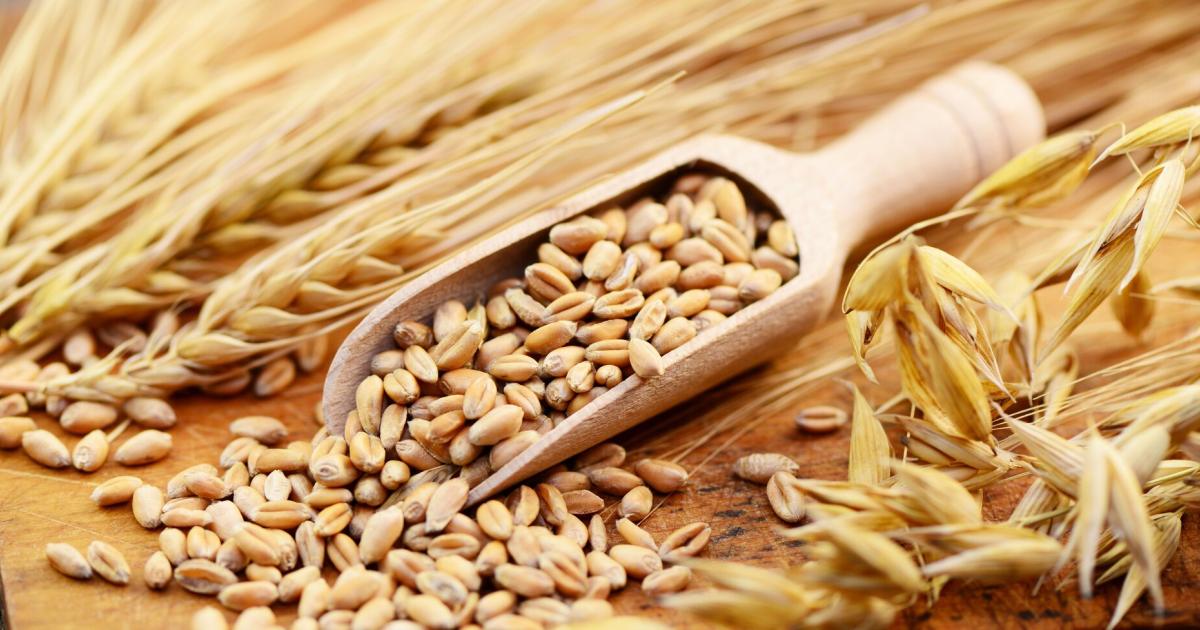 Nude erstellen very sexy body and cute face, I'd recommend