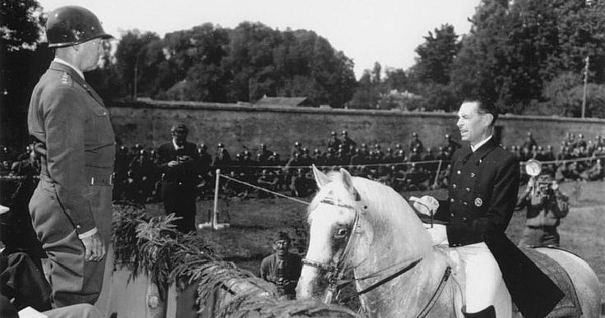 "Operation Cowboy": Wie ein US-General 1945 das Lipizzaner-Gestüt ...