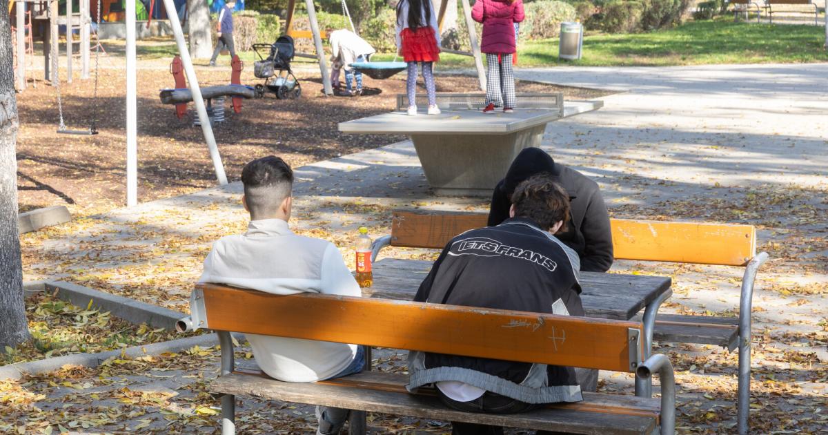 Wer in Wien „ace“, „Habibi“ und „wallah“ sagt | Kurier