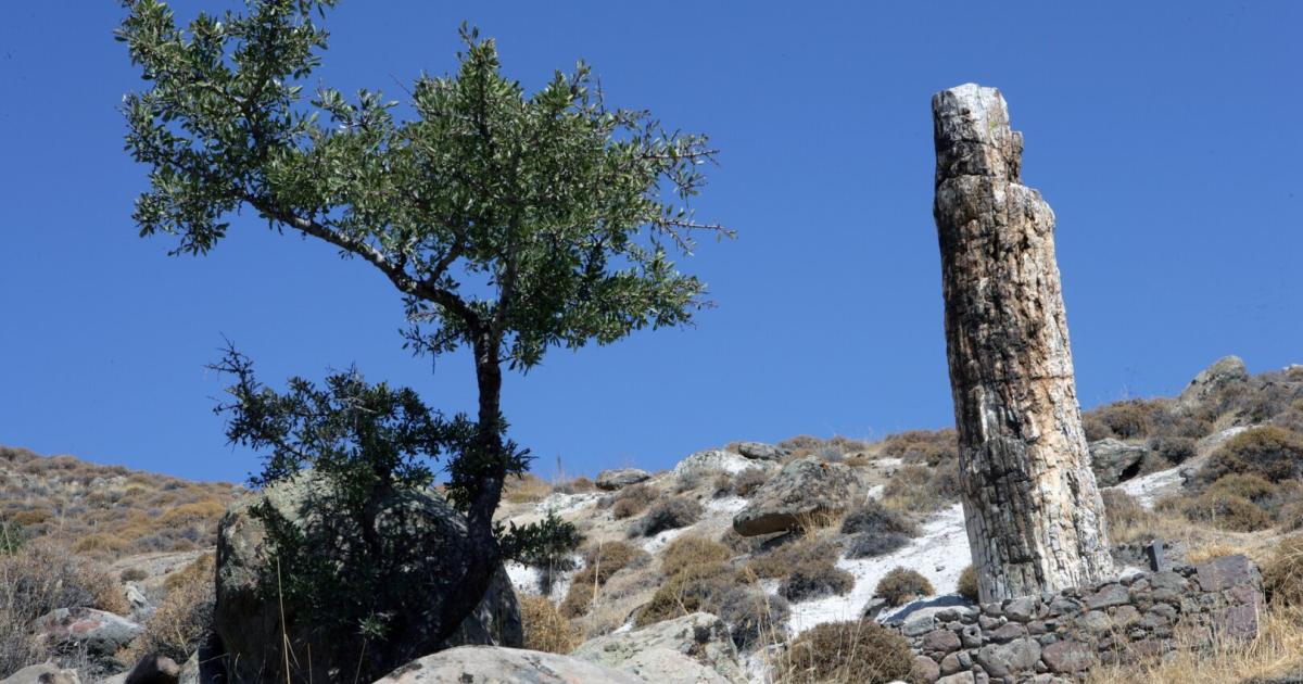 Nicht nur Strand: 5 Gründe für eine Reise nach Lesbos
