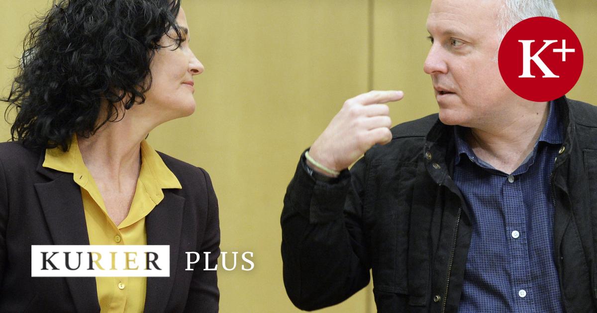 Stefan Wallner: Der Mann hinter Rudolf Anschober | Kurier