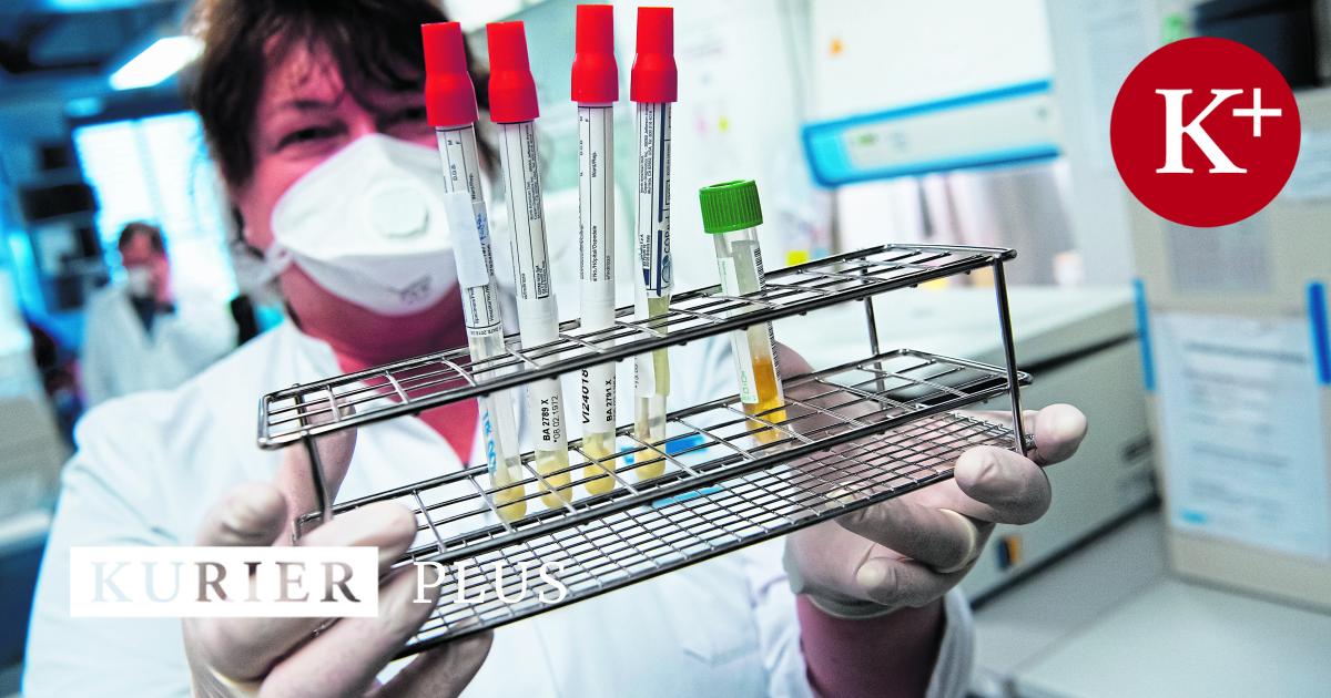 Infektiös unter Ct-Wert von 30? Wie man den PCR-Test richtig liest | Kurier