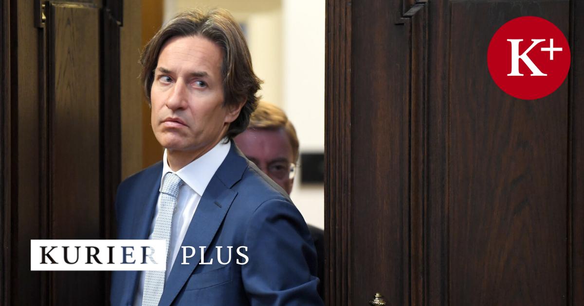 Buwog-Causa: Warum Grasser noch länger nicht in Haft muss | Kurier