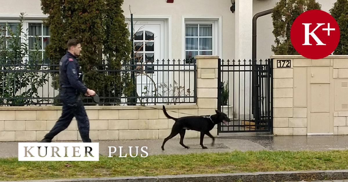 31-Jährige erstochen: Spekulationen über Einbrecher als Täter | Kurier