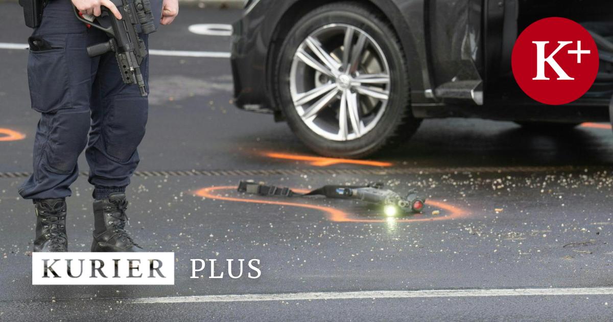 Trotz Präventionspflicht: Jede dritte Frau Opfer von Gewalt