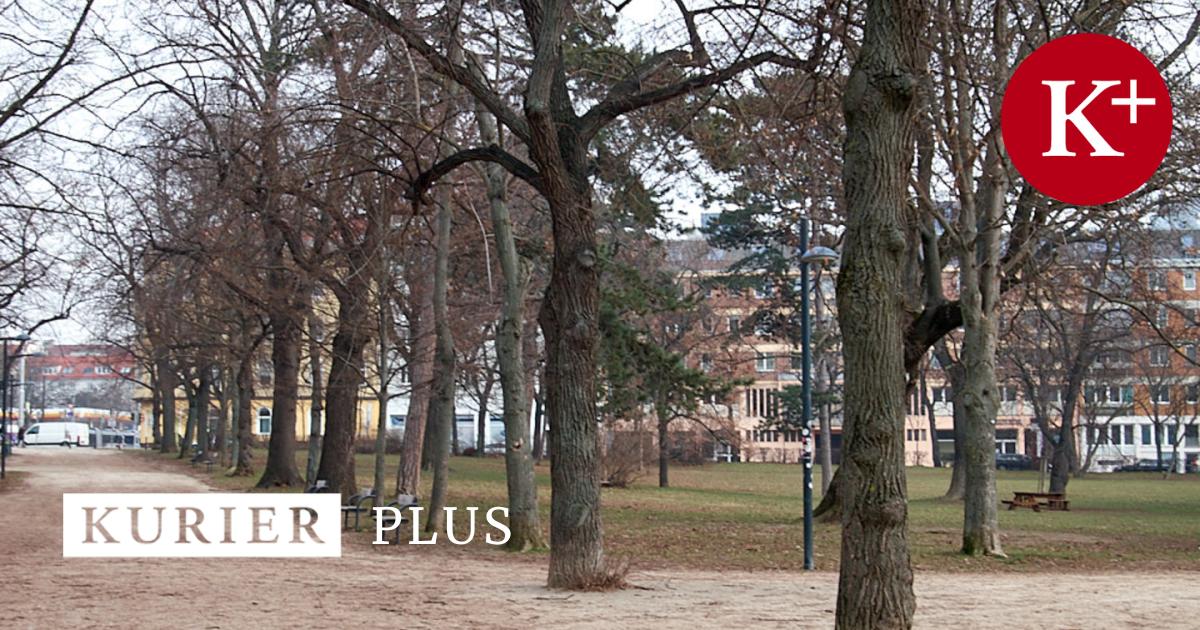 Rudolfsheim-Fünfhaus: Die Baumaffäre im Auer-Welsbach-Park | Kurier